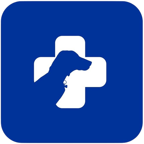 Vet Authorization Form - Ann's Dog Boarding